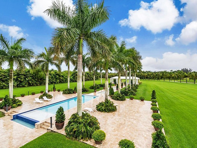 The pool stretches toward the horizon like a liquid runway, inviting you to dive into both its waters and the perfect Florida afternoon.