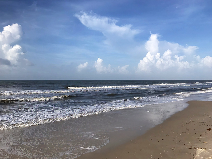 The gentle waves of Cape San Blas create the perfect backdrop for horseback riding, with water clear enough to spot marine life.