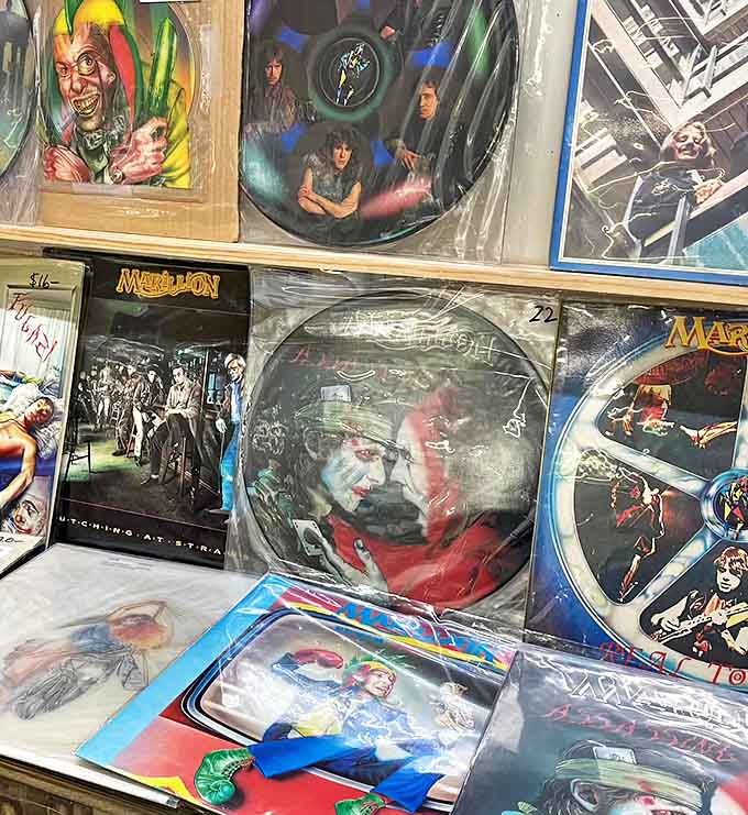 Vinyl records displayed like sacred texts, each album cover a portal to musical landscapes that existed before streaming and playlists.