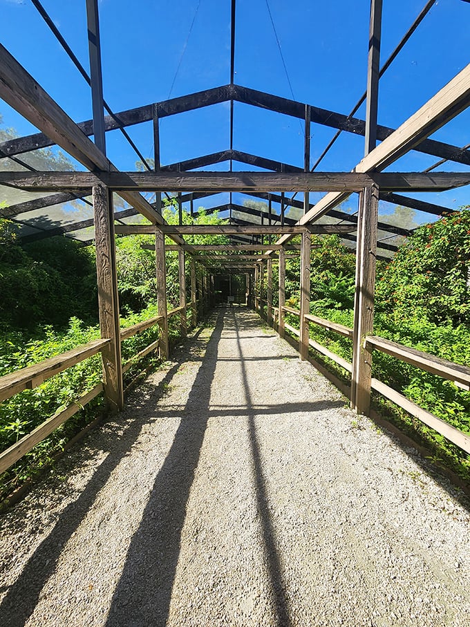 Sunlight creates dramatic shadows along this covered walkway, nature's own art installation changing by the minute.