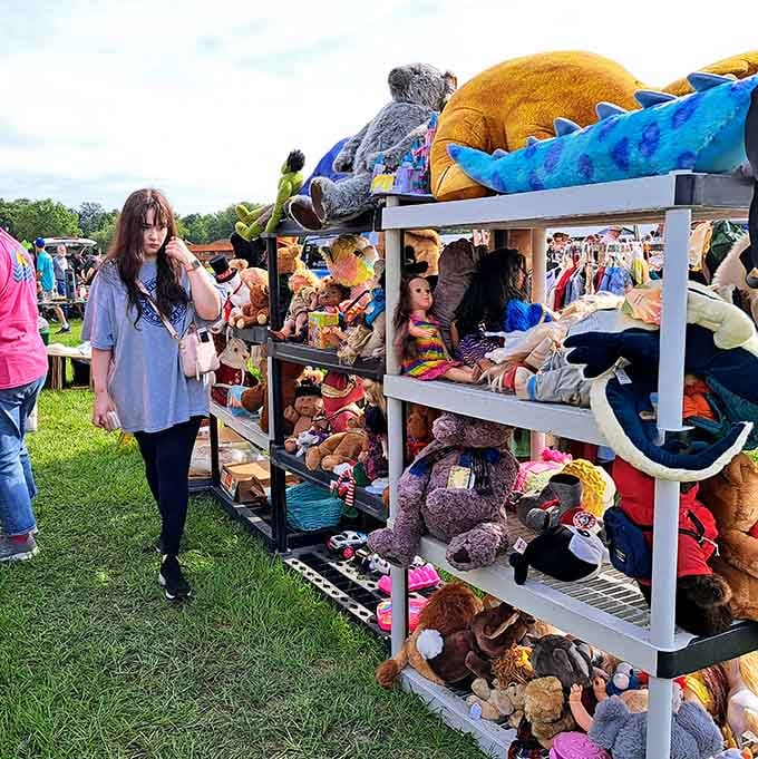 Plush companions in every size imaginable, because apparently there's no such thing as too many stuffed animals when you're building a collection.