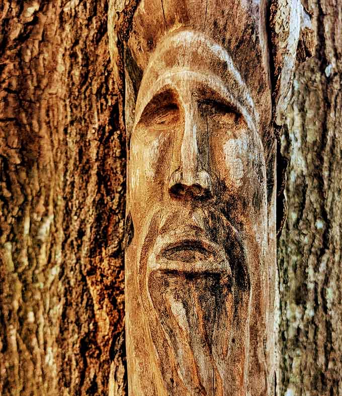 Carved wooden faces emerge from tree trunks, watching over the trail with expressions that suggest they've seen some things in their time here.
