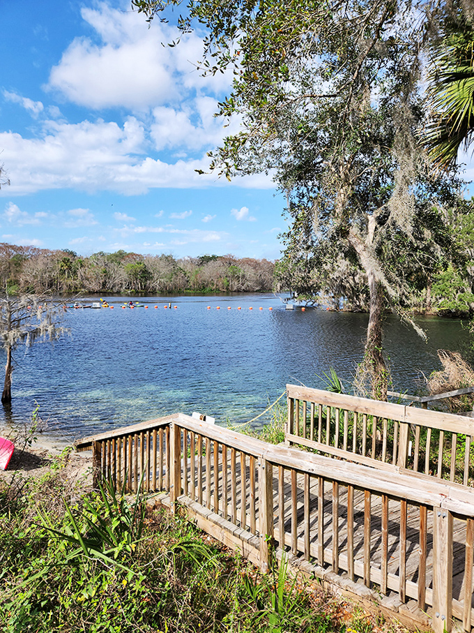 Wooden Steps to River: These weathered steps have witnessed countless journeys between worlds &ndash; from forest floor to river's edge.