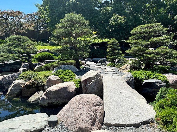 The Japanese Garden offers a moment of zen amid your zoo adventure, proving tranquility can exist even with excited children nearby.