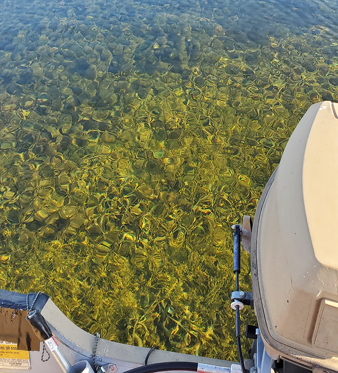 Beneath the surface, another world awaits, where sunlight dances through crystal waters onto golden sand.