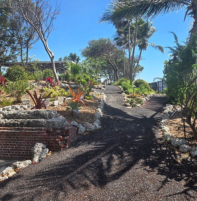 Sunlight filters through a canopy of palms, creating a dappled pathway that beckons visitors deeper into the garden.