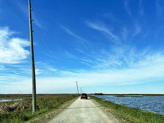 Where power lines and palm trees create an unlikely friendship against the backdrop of endless blue.