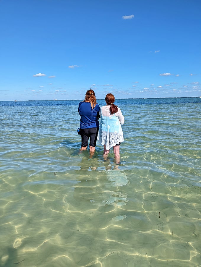 Beachside camping: Where palm trees stand guard and stars become your nightlight.
