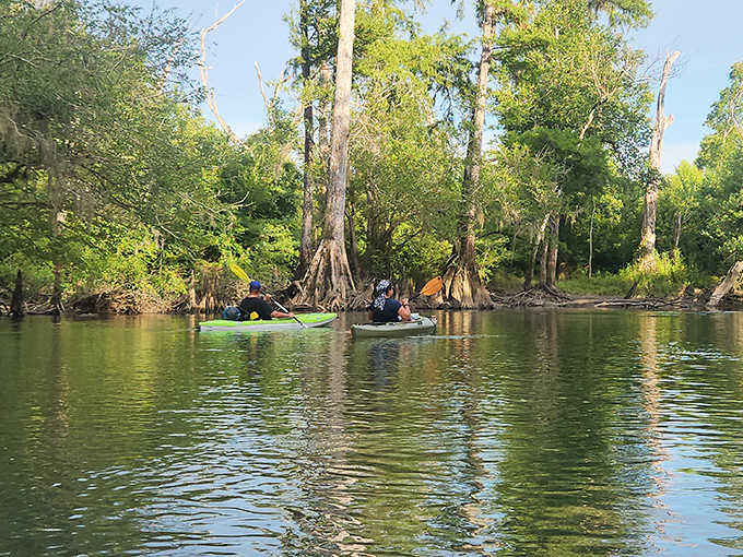 Paddlers explore the crystal-clear Chipola River that winds through the park, offering a refreshing above-ground adventure option.