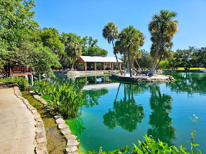 The emerald surface of this tranquil pond reflects towering palms, creating mirror images that double the visual feast.