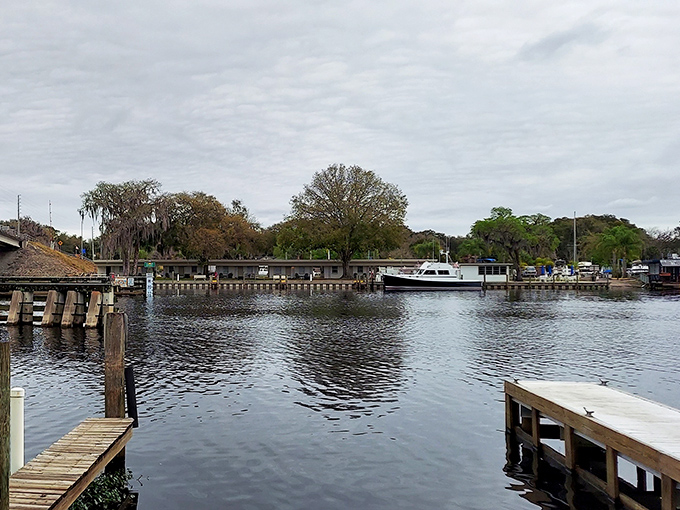 Lake George's marina welcomes boaters to one of Florida's largest lakes, where adventures on the water are limited only by imagination.