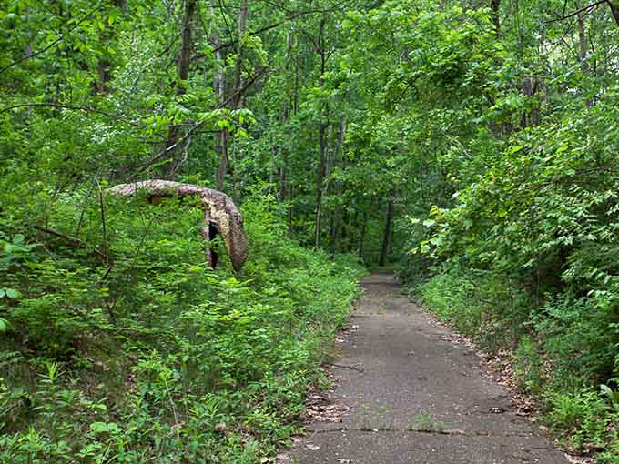 Another path beckons through the woods, promising more prehistoric encounters around every bend.
