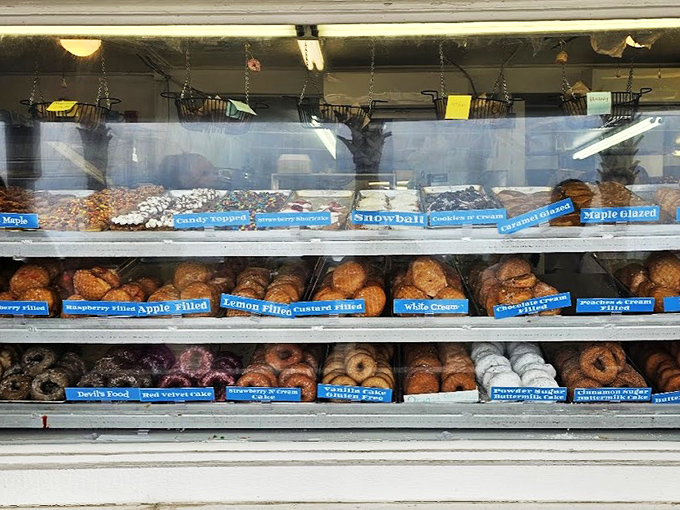 The donut display case &ndash; a glass-enclosed museum where edible art is exhibited daily to appreciative audiences.