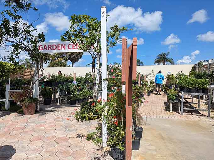 The garden center proves this place takes its plants as seriously as its butterflies, and both are spectacular.