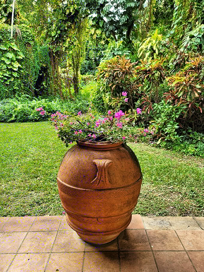 Tropical plants frame the monastery grounds, creating a lush contrast to the weathered stone &ndash; Spain's architecture meets Florida's vibrant landscape.