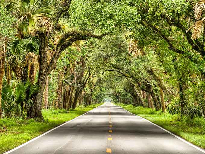 The canopy overhead creates a natural air conditioning system that's been cooling travelers since before electricity was invented.