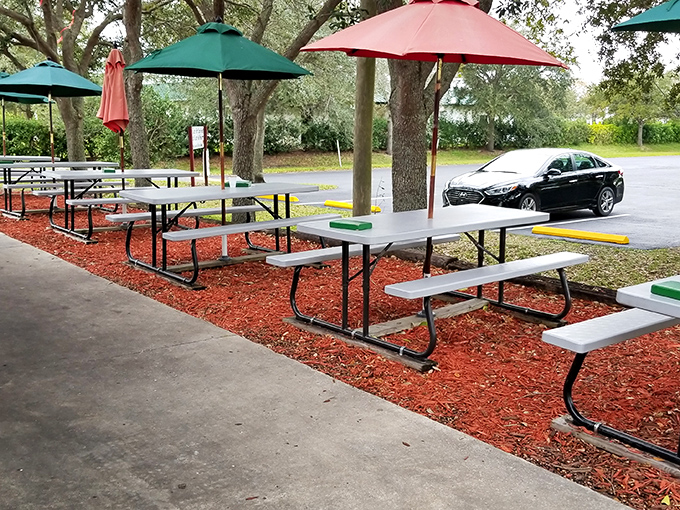 Picnic tables under umbrellas create an unpretentious dining room where the dress code is simply "hungry" and everyone's welcome.