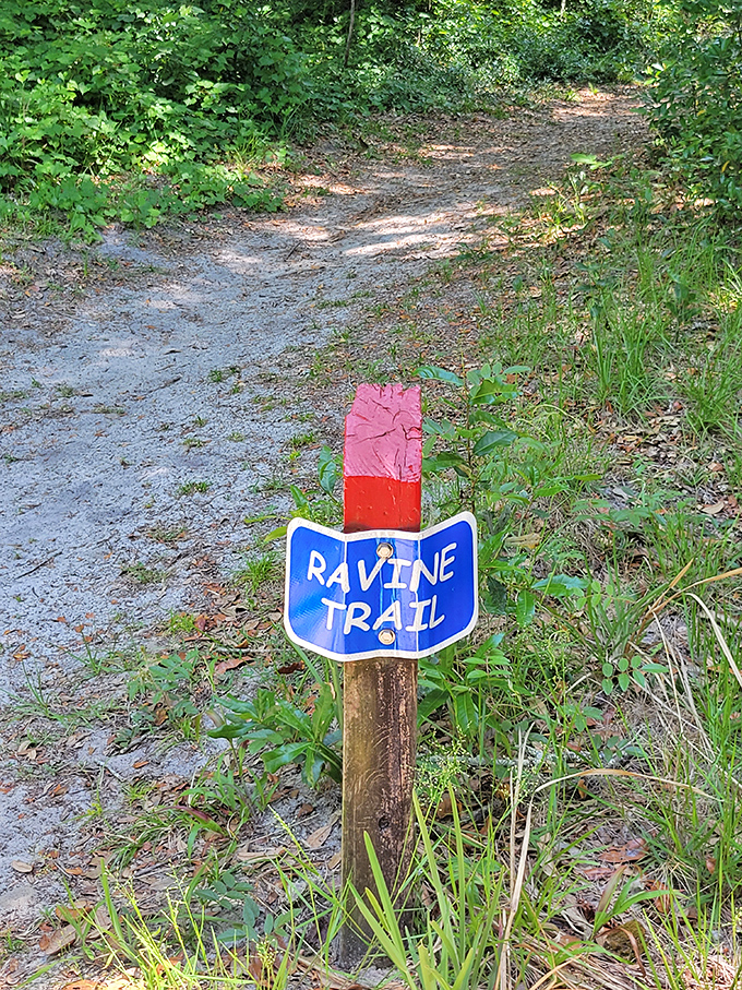 The Ravine Trail sign points toward adventure with the subtlety of a friend saying, "Trust me, you're gonna want to see this."