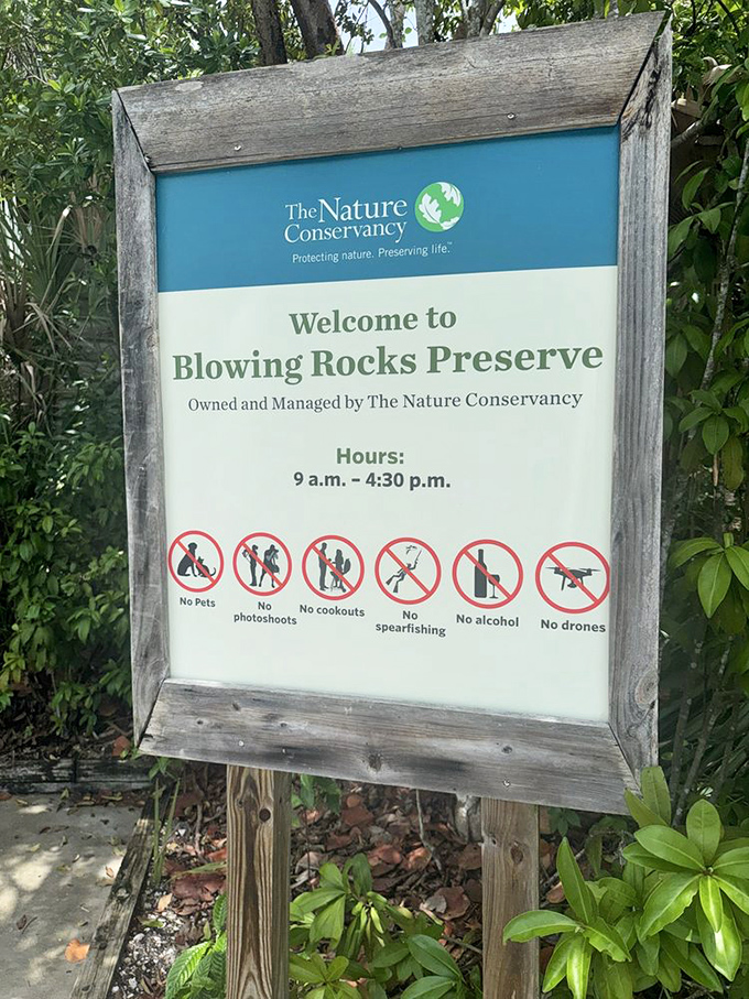 The preserve's rules remind visitors they're guests in nature's home, though "no drones" seems unnecessary when real birds put on a better show anyway.