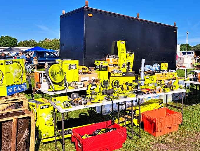 Bright yellow power tools lined up like they're ready to tackle any home improvement project, new or gently used but definitely ready to work.