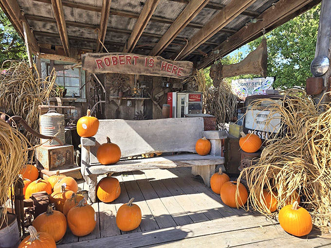 Rustic charm meets pumpkin season at this photo-worthy rest spot where visitors can pause between fruit discoveries.