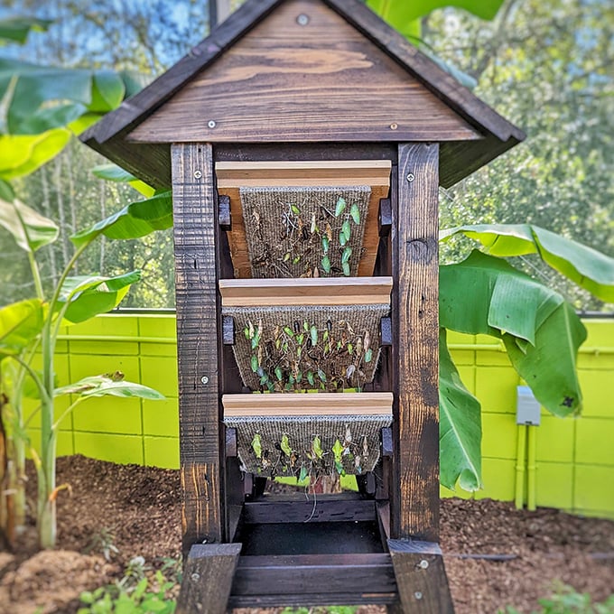 A charming bee hotel offers five-star accommodations to our buzzing friends, no reservation or tiny credit cards required.