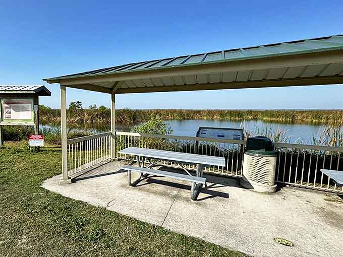 Nature's version of a food court, minus the overpriced coffee and teenagers hogging the best tables.
