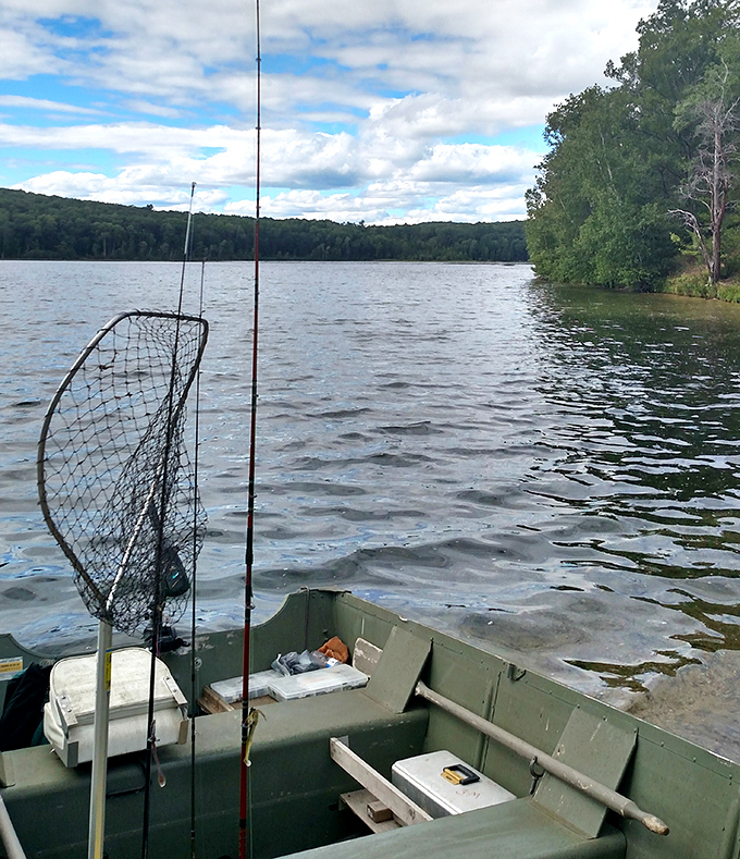 The patient angler knows that fishing isn't just about catching, it's about the peaceful moments in between.