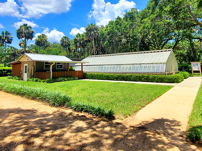 The park's greenhouse nurtures the next generation of botanical beauties for future visitors to enjoy.