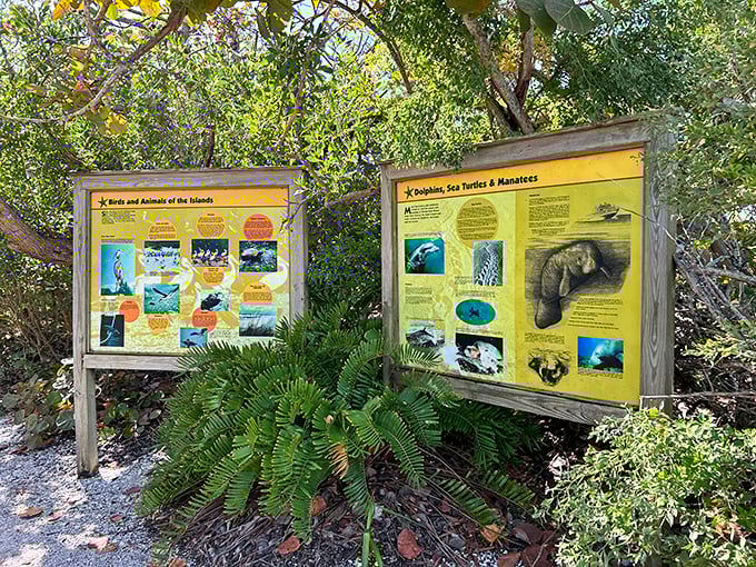 Nature's classroom: Educational displays reveal the rich biodiversity that makes Stump Pass a living laboratory of coastal ecology.