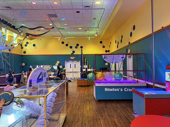 Inside the Science Explorium: Interactive exhibits transform complex concepts into accessible fun &ndash; Newton would approve of this playful approach to physics.