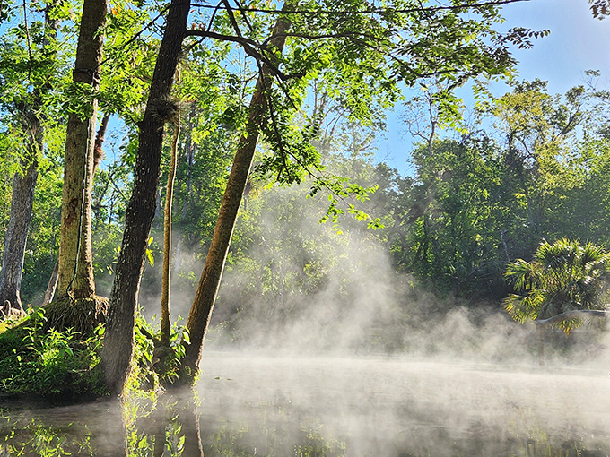 Morning magic: Early risers are rewarded with this ethereal mist dance, where water vapor performs its daily ballet.