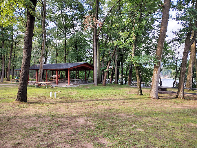 This shaded pavilion offers respite from summer sun, where family gatherings become the memories we cherish for decades.