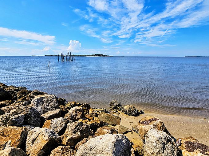 Where water meets land, Cedar Key's shoreline creates a peaceful boundary that even the most stressed visitor can't resist.