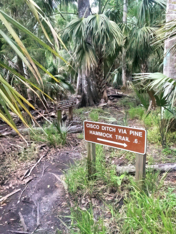 When Mother Nature gives you directions, it's best to follow along &ndash; this trail promises adventures worthy of Indiana Jones.