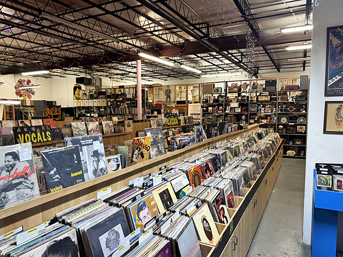 The store's vast collection spans every conceivable genre, from mainstream hits to obscure recordings that might have sold twelve copies worldwide.
