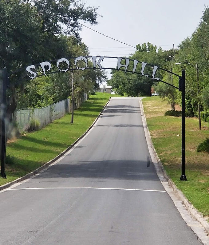 That innocent-looking road hides a gravitational mystery that makes cars roll uphill in neutral.