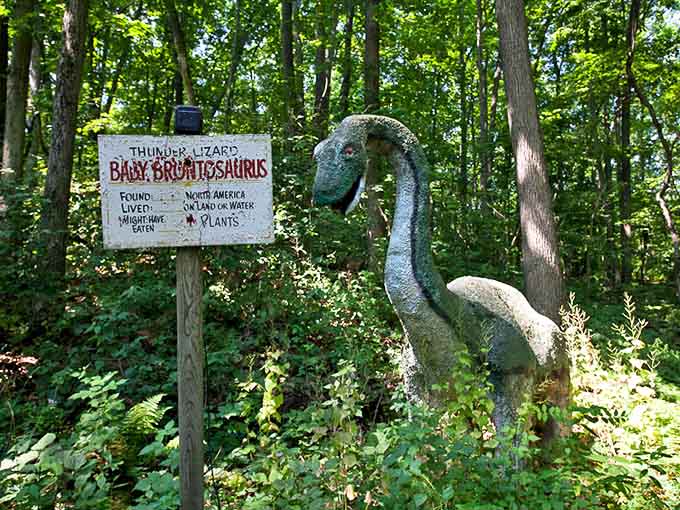 Baby Brontosaurus (according to the sign) stretches its long neck, perhaps looking for its long-departed visitors.