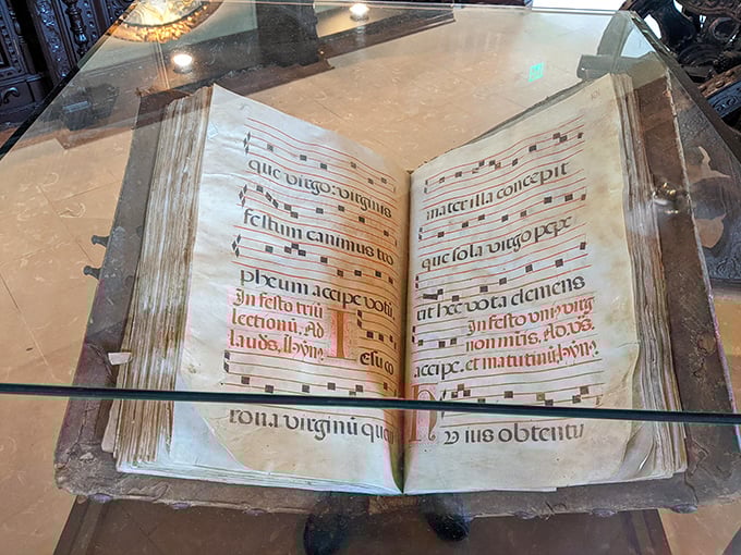Medieval manuscripts display the beautiful calligraphy of monks who worked by candlelight, creating texts that have outlived them by centuries.