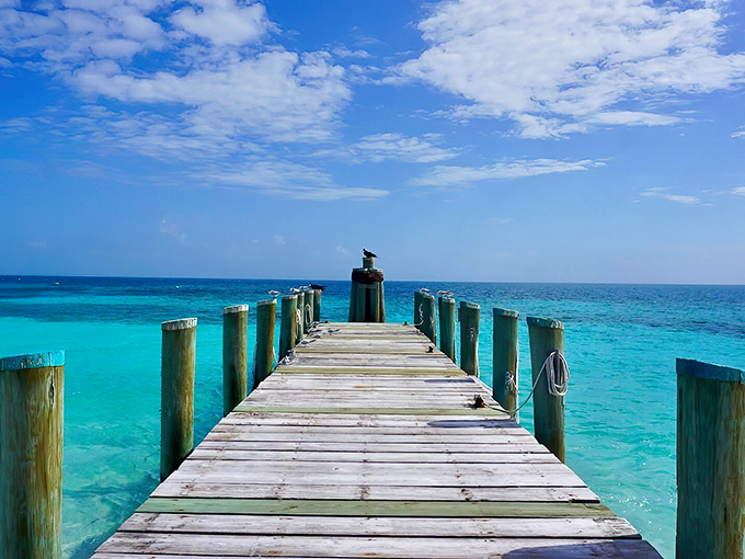 A wooden dock stretches into waters so blue they look Photoshopped, but this is just another Tuesday in Dry Tortugas.