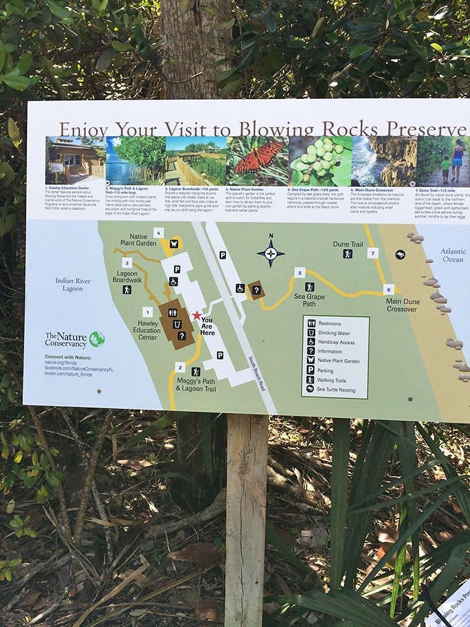 This helpful map prevents visitors from getting lost, though getting slightly lost in nature might be exactly what most Florida tourists actually need.