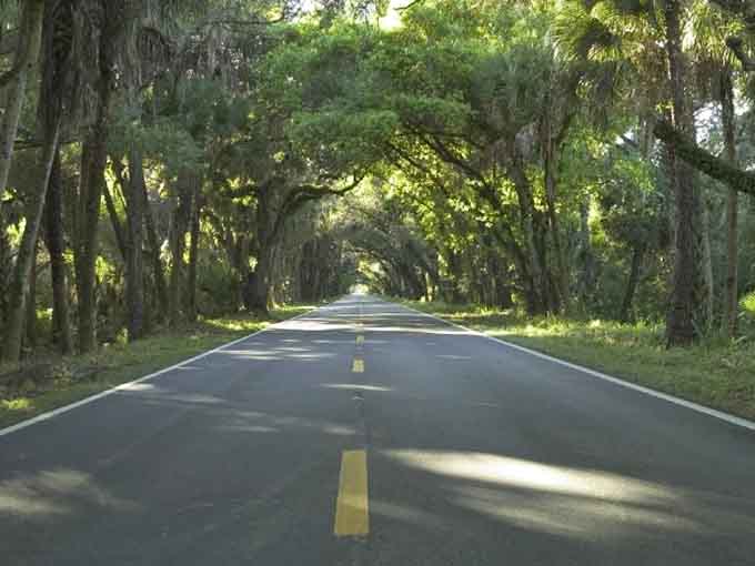 Deep in Florida's heart, where wild things grow and modern life feels like a distant memory you're happy to forget.