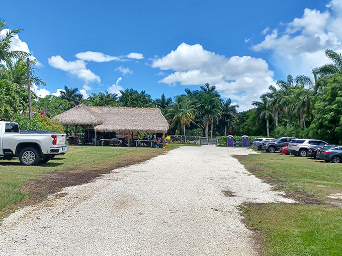The welcoming entrance gives little hint of the aquatic wonderland that awaits beyond the palm-lined path ahead.