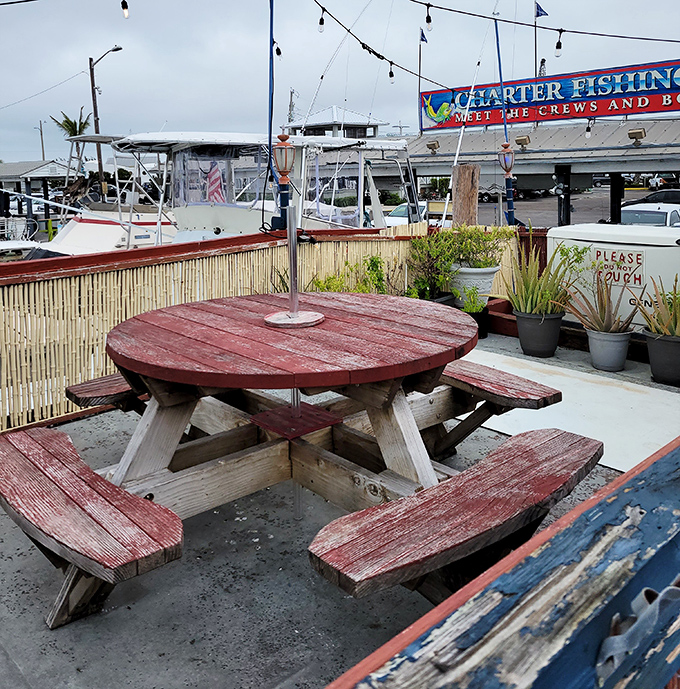 This weathered picnic table has hosted more memorable meals than most five-star restaurants ever will.