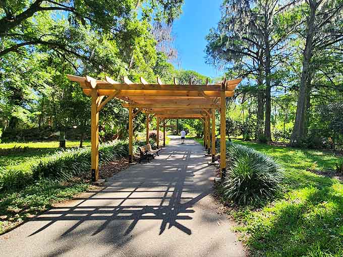 Paved walkways wind through the landscape, making nature accessible without requiring hiking boots or the fitness level of someone who actually uses their gym membership.