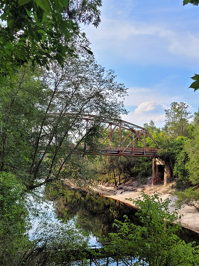 Summer's embrace turns the surrounding forest into a lush green cathedral, the bridge a man-made contrast to nature's wild architecture.