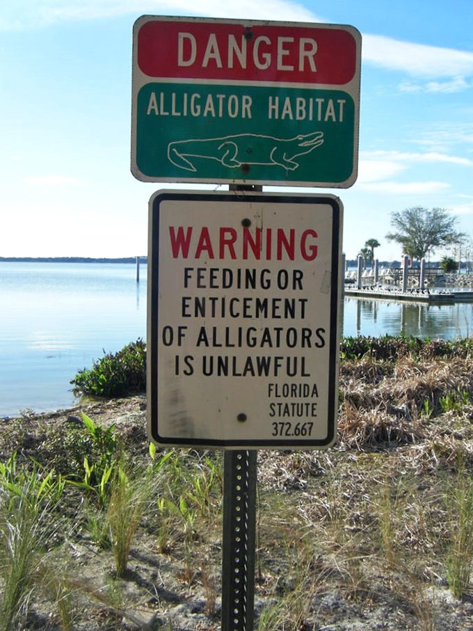 Warning signs remind visitors that this is still wild Florida, where alligators don't recognize the concept of tourist attractions.