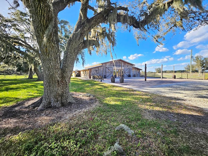 Spanish moss drapes from ancient oaks like nature's own decorations above this rustic barn.