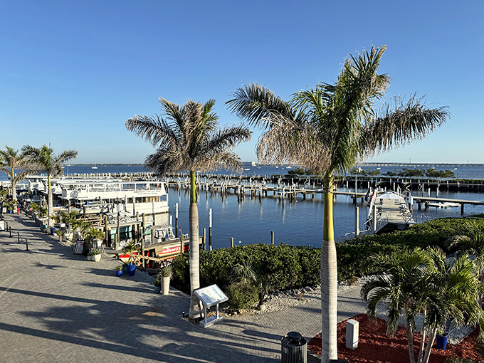 Royal palm trees stand tall among the docks, nature's exclamation points celebrating Florida's perfect marriage of land and sea.
