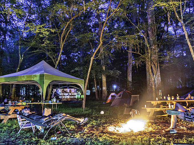Campfire stories under starlit skies - the perfect end to a day of swimming in Florida's clearest waters.